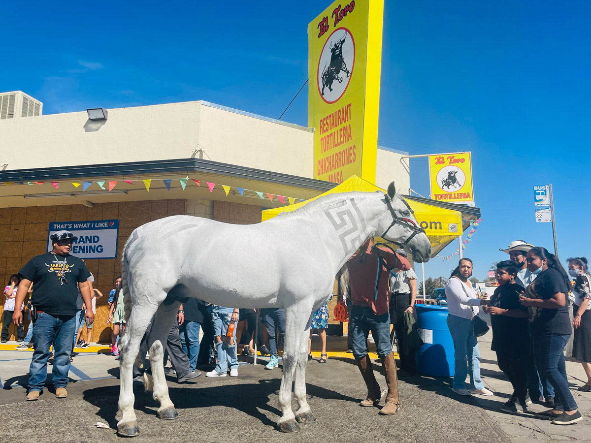 About Us - El Toro Tortilla Factory